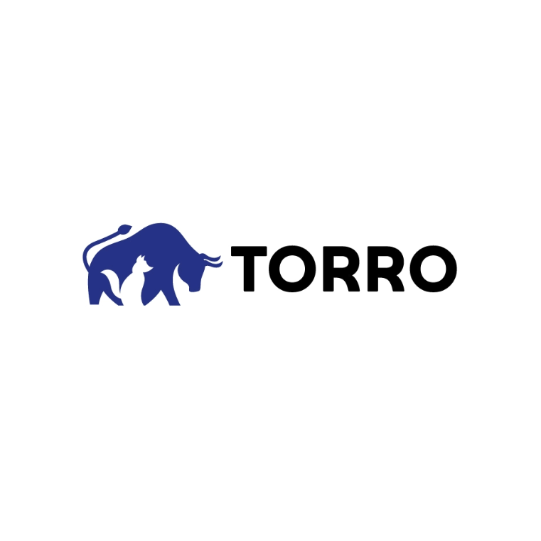 The Story Behind Torro Media | Bull & Fox Logo Design Inspiration